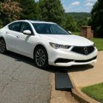 Driveway Ease & Elevate Drive Rubber Curb Ramps: Seamless Curb Access ...